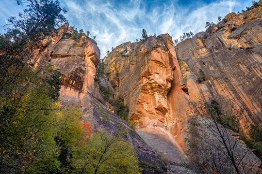 Idealic Images – Browse 298 Stock Photos, Vectors, and Video | Adobe Stock