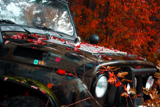 รูปภาพJip – เลือกดูภาพถ่ายสต็อก เวกเตอร์ และวิดีโอ158 | Adobe Stock