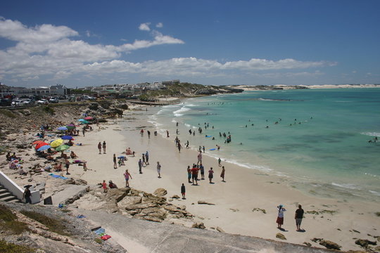 Struis Images – Browse 11 Stock Photos, Vectors, and Video | Adobe Stock