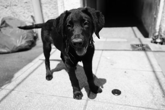 รูปภาพApolo – เลือกดูภาพถ่ายสต็อก เวกเตอร์ และวิดีโอ1,053 | Adobe Stock