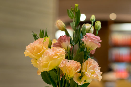 Imágenes de Fiower: descubre bancos de fotos, ilustraciones, vectores y ...