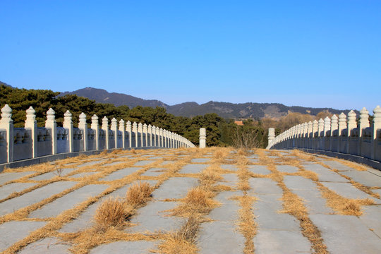 รูปภาพZunhua – เลือกดูภาพถ่ายสต็อก เวกเตอร์ และวิดีโอ811 | Adobe Stock