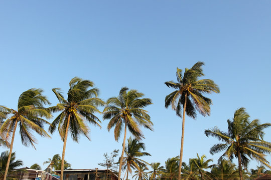 Пейзажи Images – Browse 988 Stock Photos, Vectors, and Video | Adobe Stock