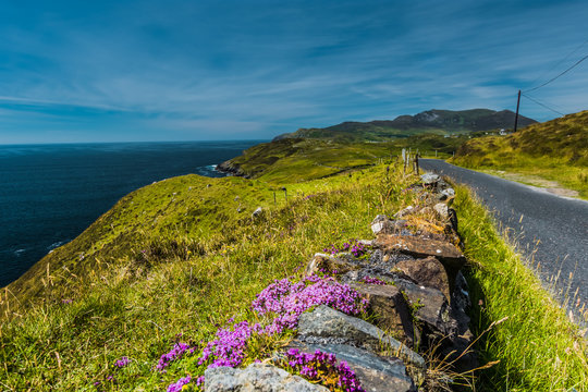 รูปภาพ"Muckross – เลือกดูภาพถ่ายสต็อก เวกเตอร์ และวิดีโอ1,771 | Adobe Stock