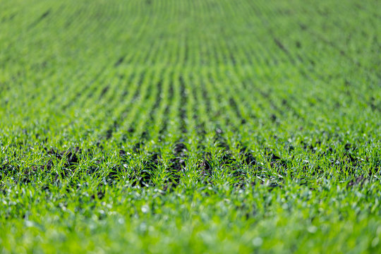 รูปภาพMonocropping – เลือกดูภาพถ่ายสต็อก เวกเตอร์ และวิดีโอ388 | Adobe ...