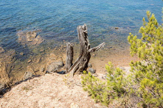 รูปภาพFossette – เลือกดูภาพถ่ายสต็อก เวกเตอร์ และวิดีโอ106 | Adobe Stock