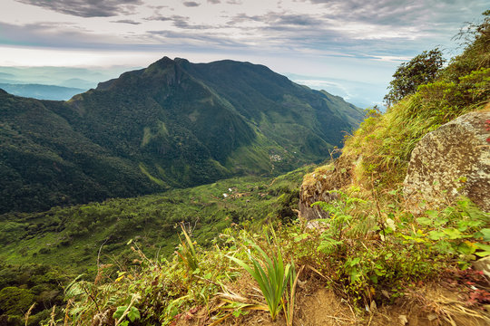 รูปภาพHorton – เลือกดูภาพถ่ายสต็อก เวกเตอร์ และวิดีโอ2,007 | Adobe Stock