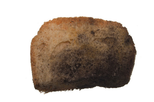 Unedible Bilder – Durchsuchen 492 Archivfotos, Vektorgrafiken und ...