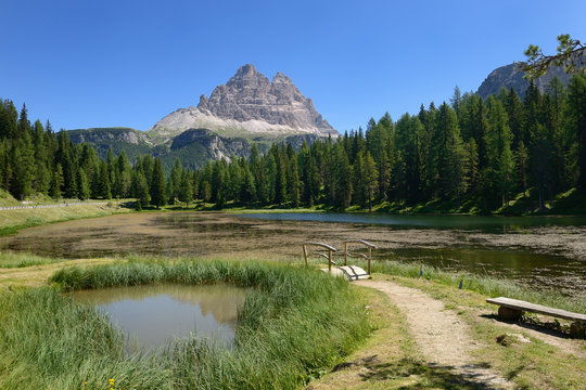 Luca Bazzi photos, images, assets | Adobe Stock