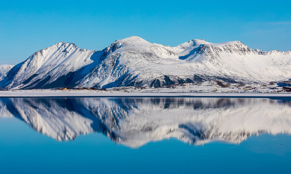 Steira Images – Browse 1 Stock Photos, Vectors, and Video | Adobe Stock