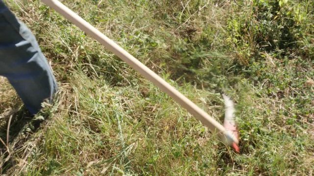 Grass Scythe Cutting Demonstration