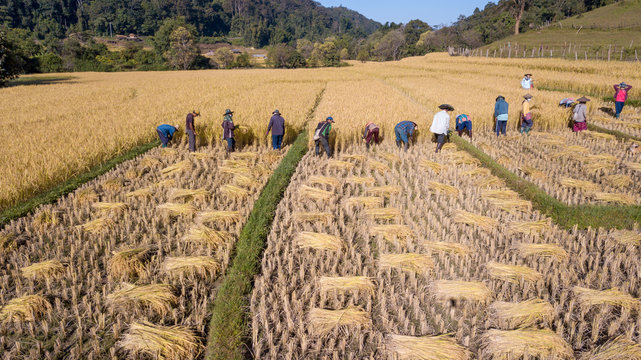 รูปภาพPadaung – เลือกดูภาพถ่ายสต็อก เวกเตอร์ และวิดีโอ509 | Adobe Stock