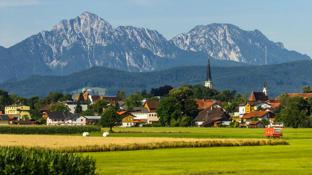 Freilassing bilder – Bläddra bland 136 stockfoton, vektorer och videor ...
