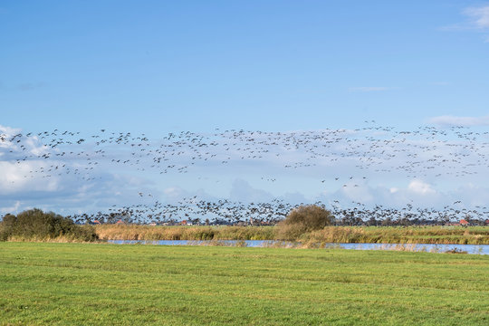 รูปภาพPolder. – เลือกดูภาพถ่ายสต็อก เวกเตอร์ และวิดีโอ24,589 | Adobe Stock