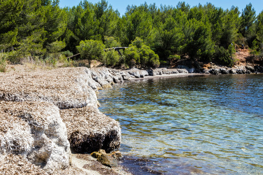 รูปภาพFossette – เลือกดูภาพถ่ายสต็อก เวกเตอร์ และวิดีโอ106 | Adobe Stock