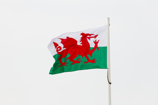 "welsh Flag" photos, royalty-free images, graphics, vectors & videos ...