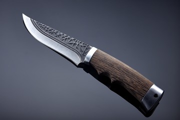 Cutlass photos, royalty-free images, graphics, vectors & videos | Adobe ...