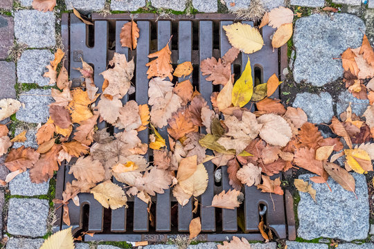 รูปภาพWasserabfluss – เลือกดูภาพถ่ายสต็อก เวกเตอร์ และวิดีโอ294 | Adobe ...