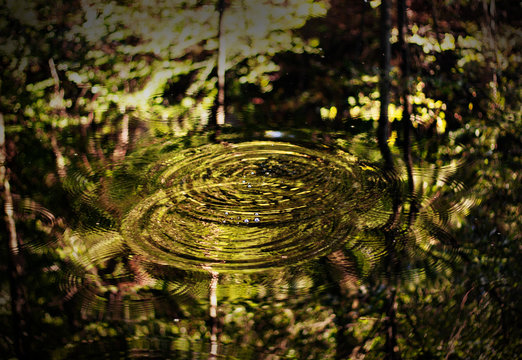 Wasserkreise Images – Browse 45 Stock Photos, Vectors, and Video | Adobe Stock