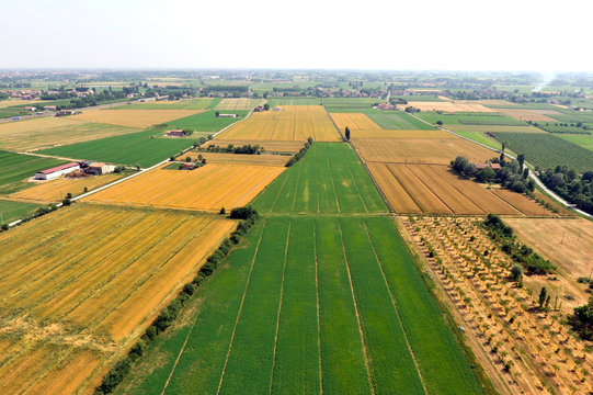 Afbeeldingen over "Campi Coltivati" – Blader in stockfoto's, vectoren ...