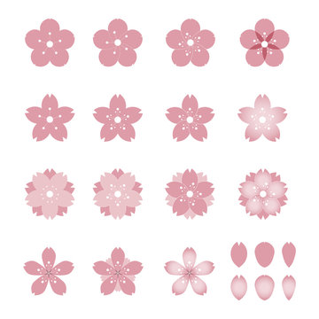 "Sakura Vector" Images – Browse 169 Stock Photos, Vectors, and Video ...
