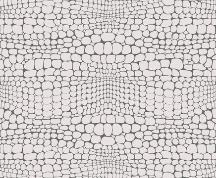 Lizard Skin Texture Vector