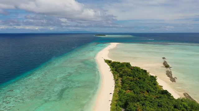 รูปภาพTimba – เลือกดูภาพถ่ายสต็อก เวกเตอร์ และวิดีโอ133 | Adobe Stock