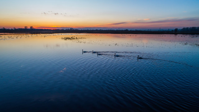 Potop Bilder – Durchsuchen 239 Archivfotos, Vektorgrafiken und Videos ...