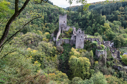 รูปภาพMander – เลือกดูภาพถ่ายสต็อก เวกเตอร์ และวิดีโอ339 | Adobe Stock