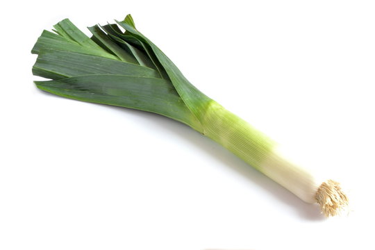 Imágenes de Porro: descubre bancos de fotos, ilustraciones, vectores y ...