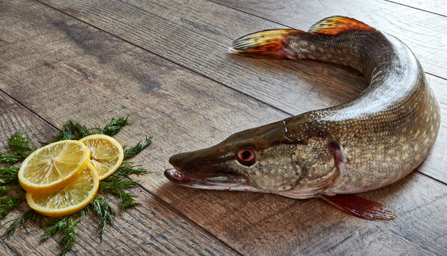 รูปภาพPike – เลือกดูภาพถ่ายสต็อก เวกเตอร์ และวิดีโอ224,144 | Adobe Stock