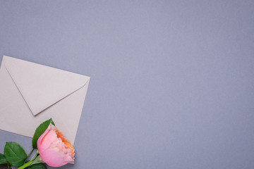 Free Cute Gray Wallpaper & Photos