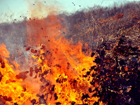 Sun-Scorched Bilder – Durchsuchen 799 Archivfotos, Vektorgrafiken und ...