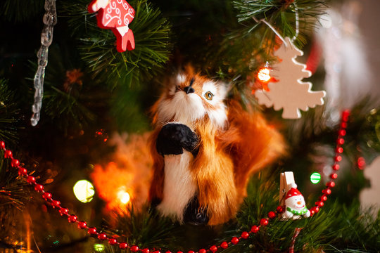 Bokke Images – Browse 222 Stock Photos, Vectors, and Video | Adobe Stock