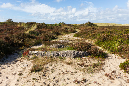 รูปภาพSandweg – เลือกดูภาพถ่ายสต็อก เวกเตอร์ และวิดีโอ1,099 | Adobe Stock