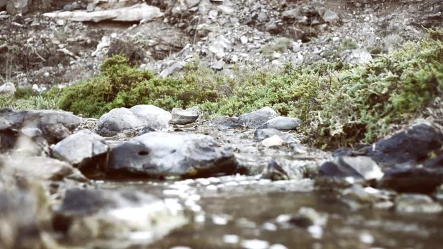 Arrollo Bilder – Durchsuchen 184 Archivfotos, Vektorgrafiken und Videos ...