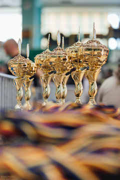 Trofee Images – Browse 27 Stock Photos, Vectors, and Video | Adobe Stock