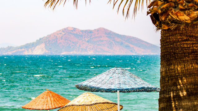 Challi Bilder – Durchsuchen 353 Archivfotos, Vektorgrafiken und Videos ...