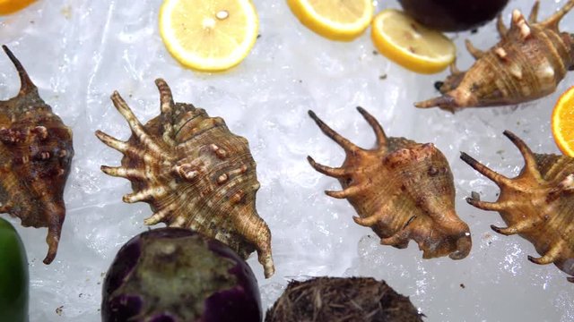Fried Conch Images – Browse 489 Stock Photos, Vectors, and Video ...