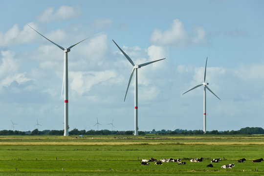 Warft Bilder – Durchsuchen 824 Archivfotos, Vektorgrafiken und Videos ...