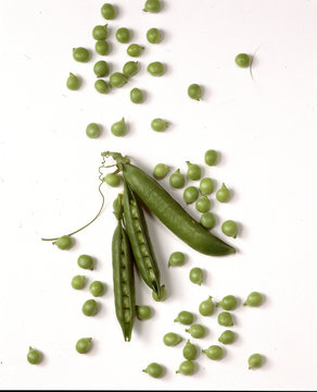 รูปภาพCreem – เลือกดูภาพถ่ายสต็อก เวกเตอร์ และวิดีโอ301 | Adobe Stock