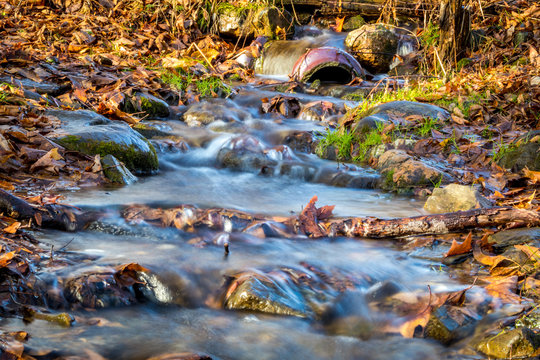 Intersting 이미지 – 찾아보기 478 스톡 사진, 벡터 및 비디오 | Adobe Stock