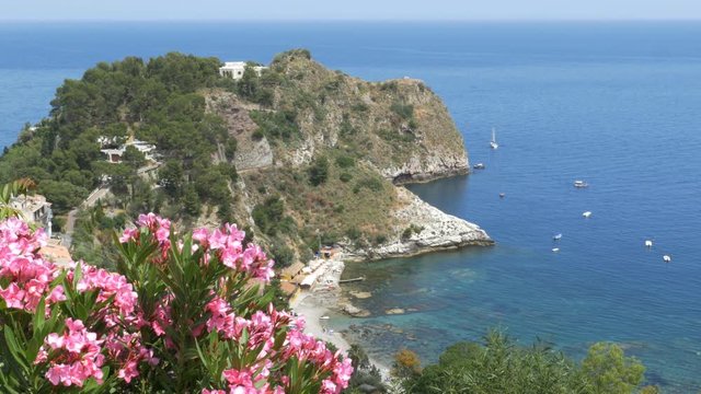 Mazzaro Images – Browse 380 Stock Photos, Vectors, and Video | Adobe Stock