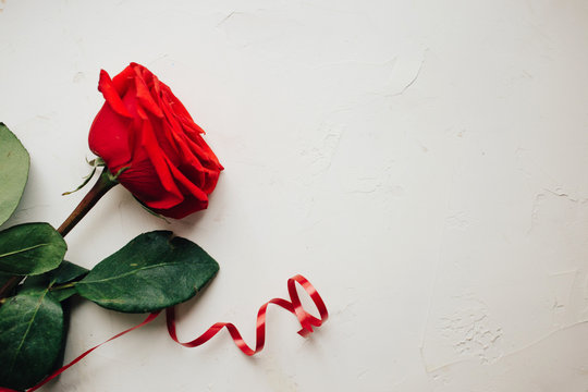 รูปภาพRoes-Flower – เลือกดูภาพถ่ายสต็อก เวกเตอร์ และวิดีโอ225 | Adobe Stock