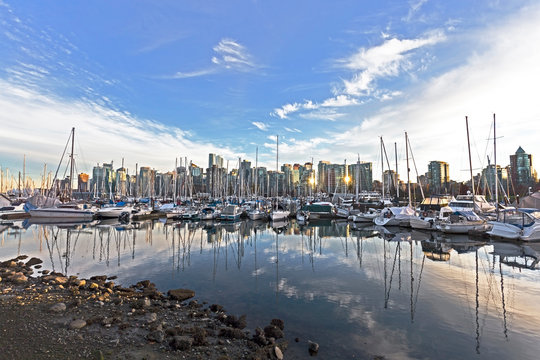 Coy St. Clair photos, images, assets | Adobe Stock