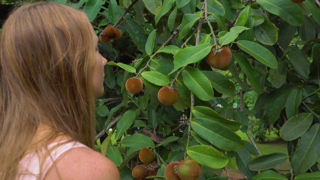 Mabolo Images – Browse 310 Stock Photos, Vectors, and Video | Adobe Stock