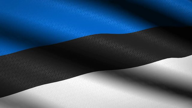 Estonian Flag Wallpaper