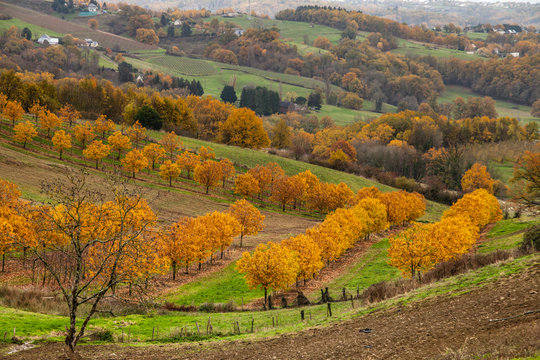 รูปภาพGauch – เลือกดูภาพถ่ายสต็อก เวกเตอร์ และวิดีโอ136 | Adobe Stock