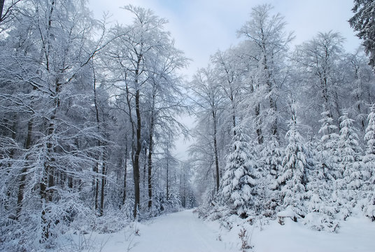 Aleine Bilder – Durchsuchen 111 Archivfotos, Vektorgrafiken und Videos ...