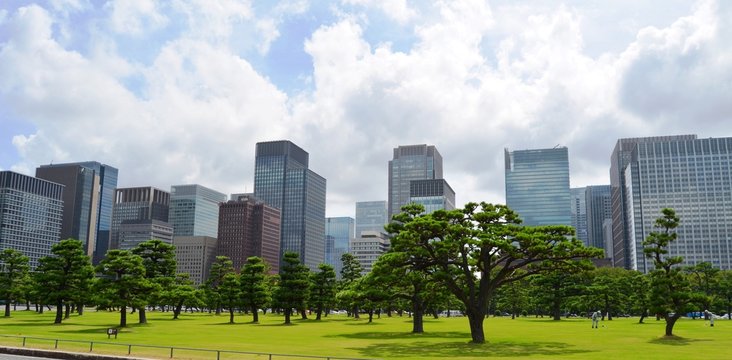 "Tokyo City" Images – Browse 2,002 Stock Photos, Vectors, and Video ...